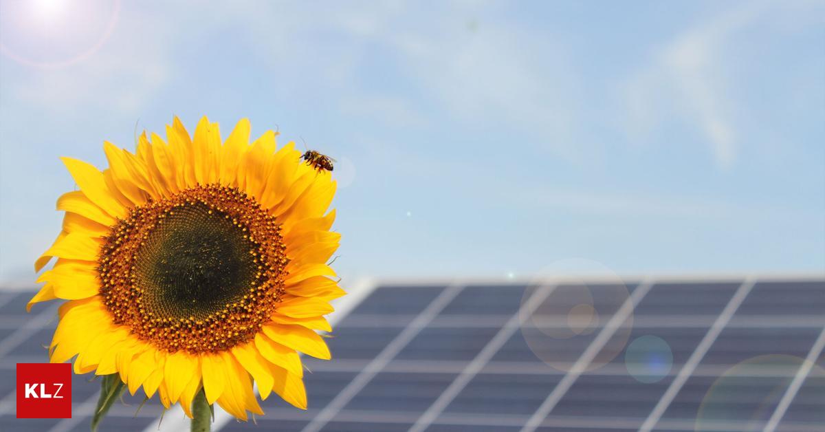 Green Bonds: Wie auch Sie Klimaschutz finanzieren können